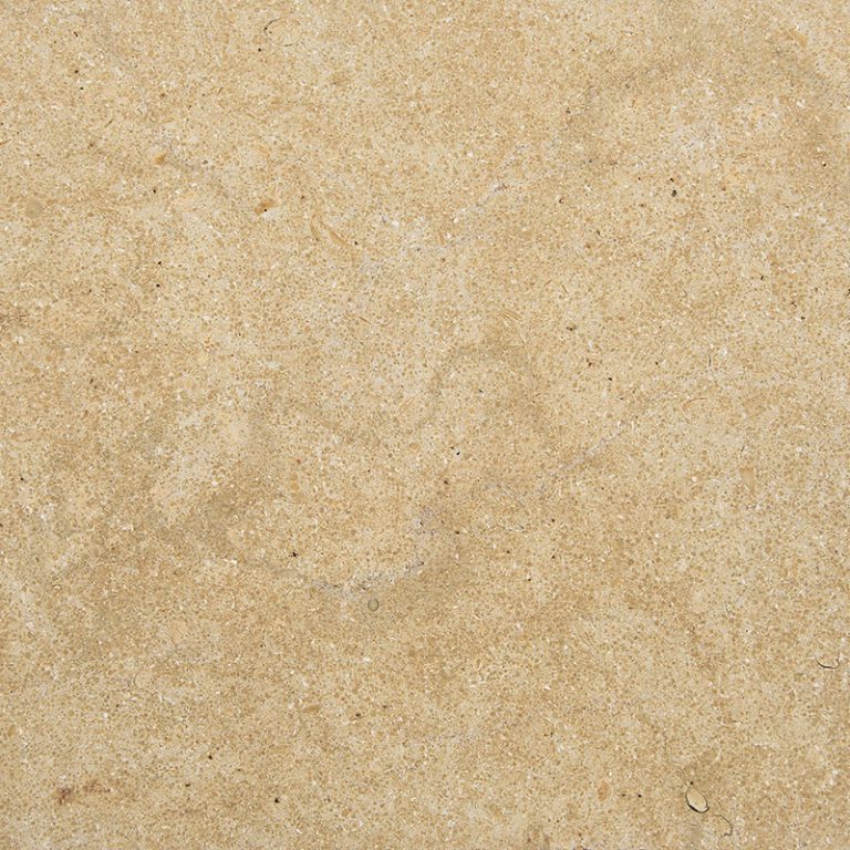 Golden Shellstone Limestone | Artistik Stone